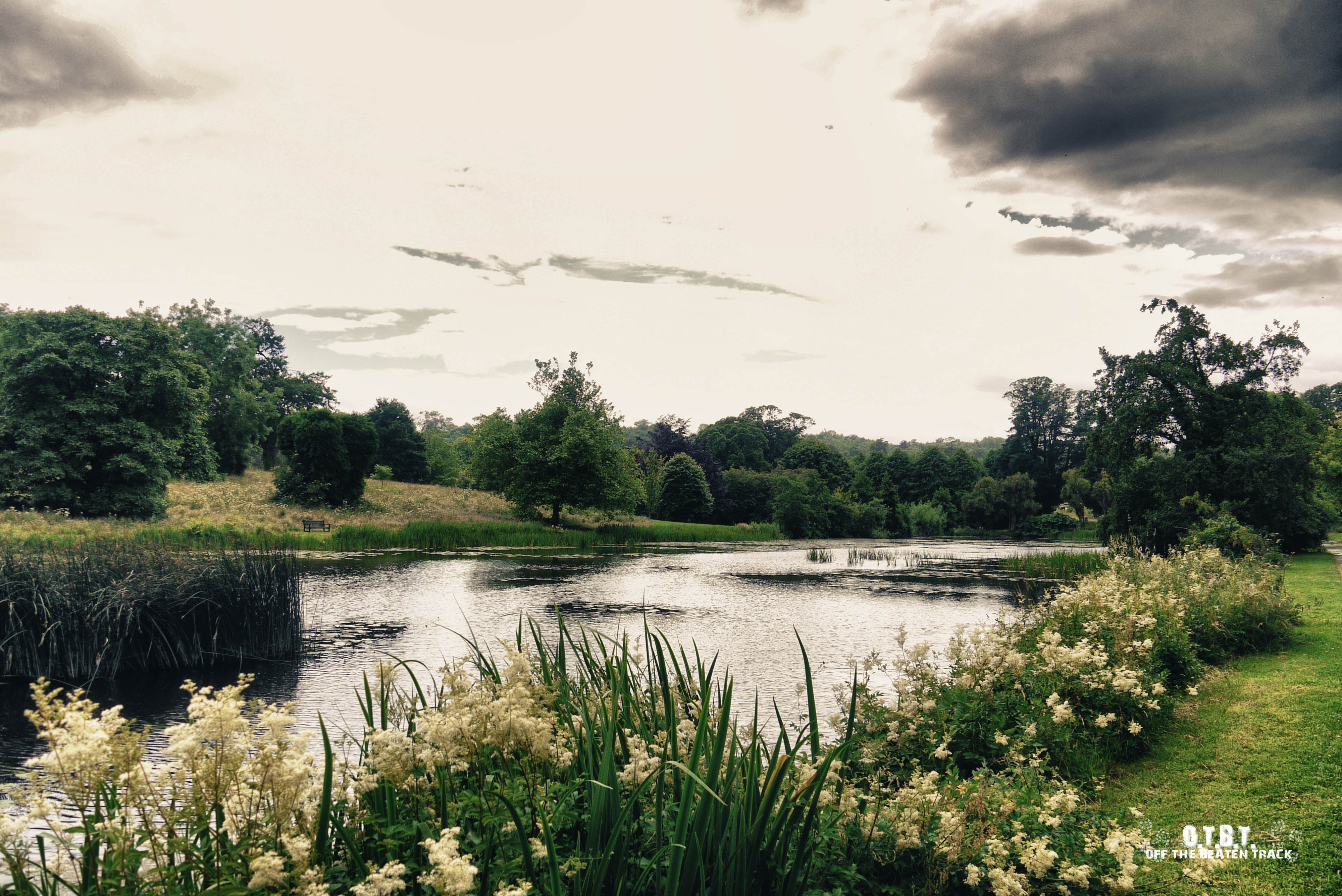 Castle Ward – Off The Beaten Track